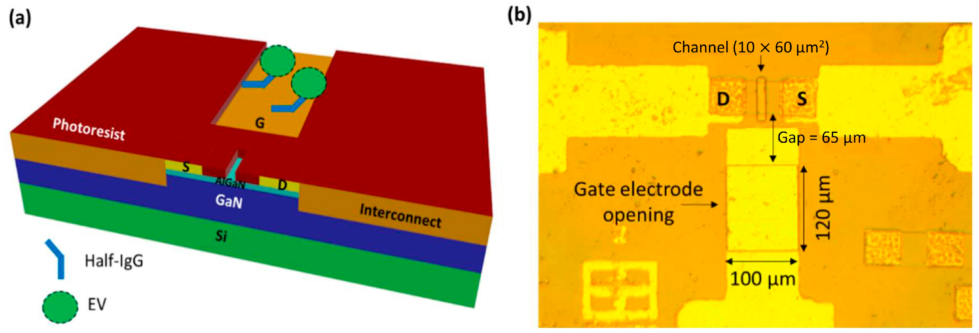 Status and Prospects of Heterojunction-Based HEMT for Next-Generation ...