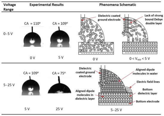 Influence of the Ground Electrode on the Dynamics of Electrowetting