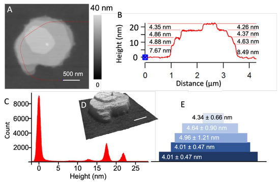 Micromachines | Free Full-Text | Production of Lipid Constructs by ...