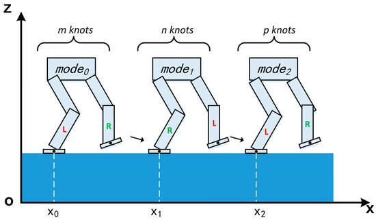 Symmetrical Efficient Gait Planning Based on Constrained Direct Collocation