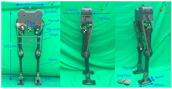 Symmetrical Efficient Gait Planning Based on Constrained Direct Collocation