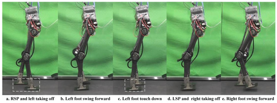 Symmetrical Efficient Gait Planning Based on Constrained Direct Collocation