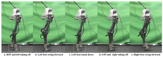 Symmetrical Efficient Gait Planning Based on Constrained Direct Collocation