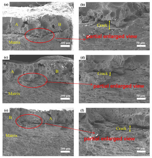 Effect of Reticulate Unit Spacing on Microstructure and Properties of ...