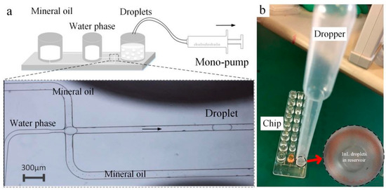 Cost-Effective Droplet Generator for Portable Bio-Applications