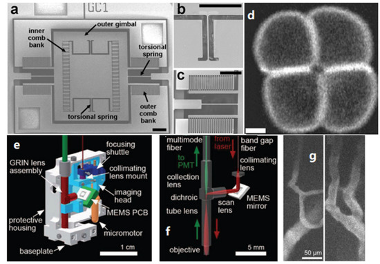 MEMS Enabled Miniature Two-Photon Microscopy for Biomedical Imaging