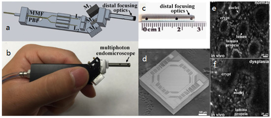 MEMS Enabled Miniature Two-Photon Microscopy for Biomedical Imaging