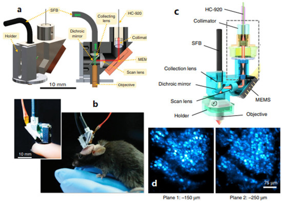 MEMS Enabled Miniature Two-Photon Microscopy for Biomedical Imaging