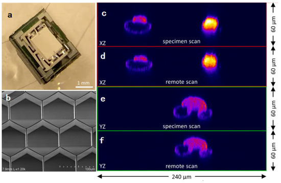 MEMS Enabled Miniature Two-Photon Microscopy for Biomedical Imaging