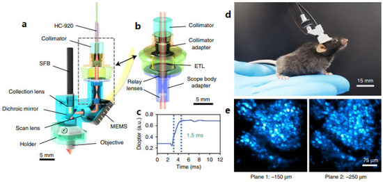 MEMS Enabled Miniature Two-Photon Microscopy for Biomedical Imaging