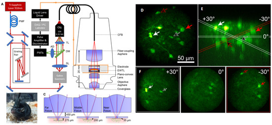 MEMS Enabled Miniature Two-Photon Microscopy for Biomedical Imaging