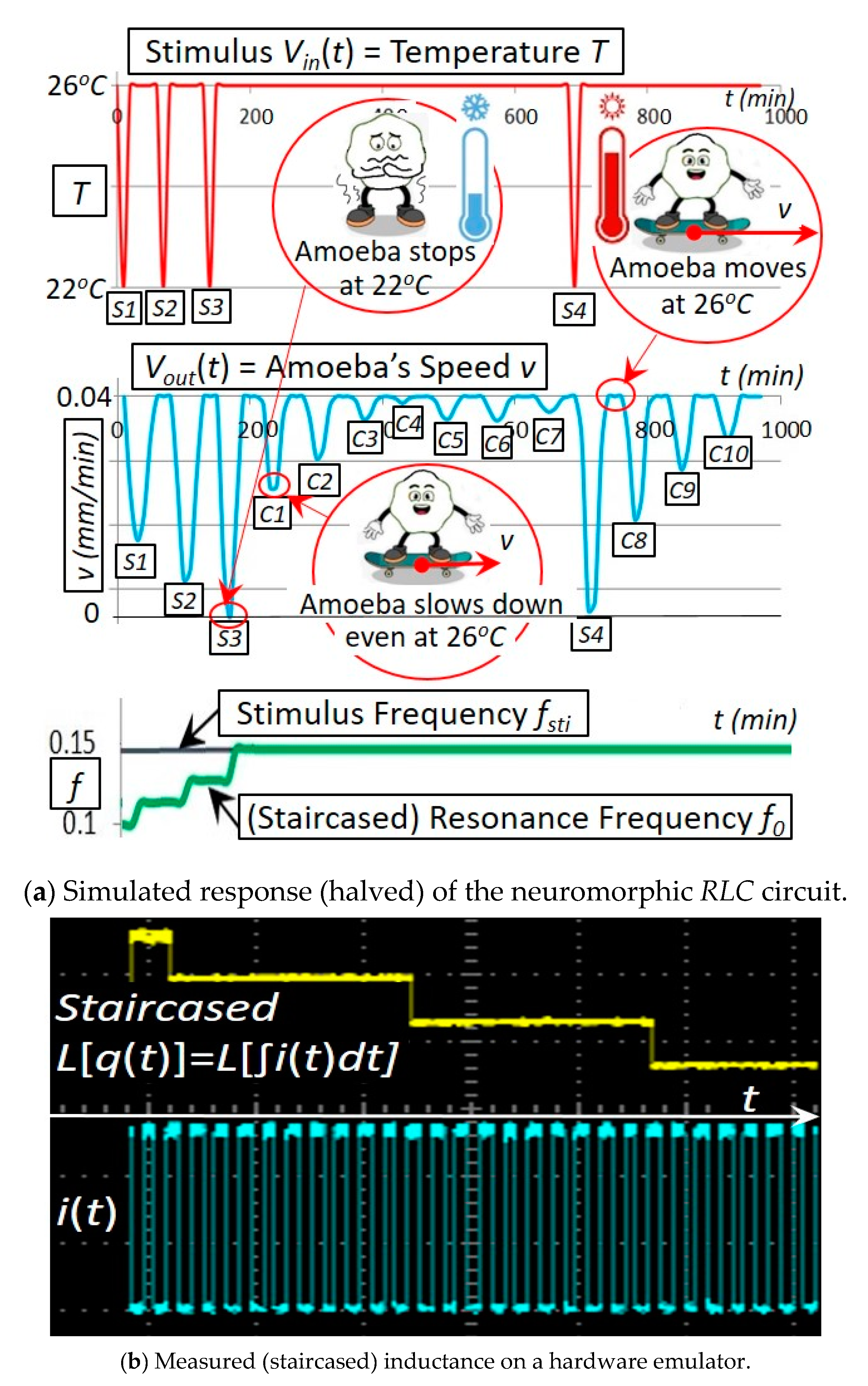Beyond Memristors: Neuromorphic Computing Using Meminductors