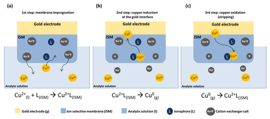 TEER and Ion Selective Transwell-Integrated Sensors System for Caco-2 ...