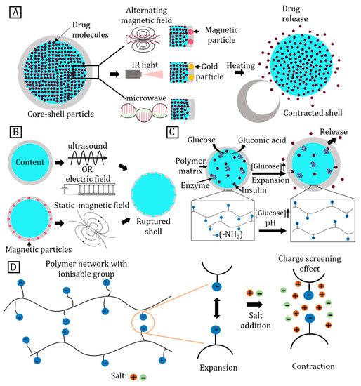 Micromachines | Free Full-Text | Core–Shell Particles: From Fabrication ...