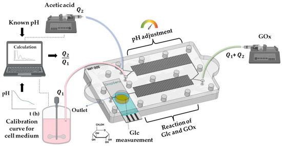 3D-Printed Microfluidic Chip for Real-Time Glucose Monitoring in Liquid ...