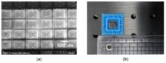 The Size-Dependent Photonic Characteristics of Colloidal-Quantum-Dot ...