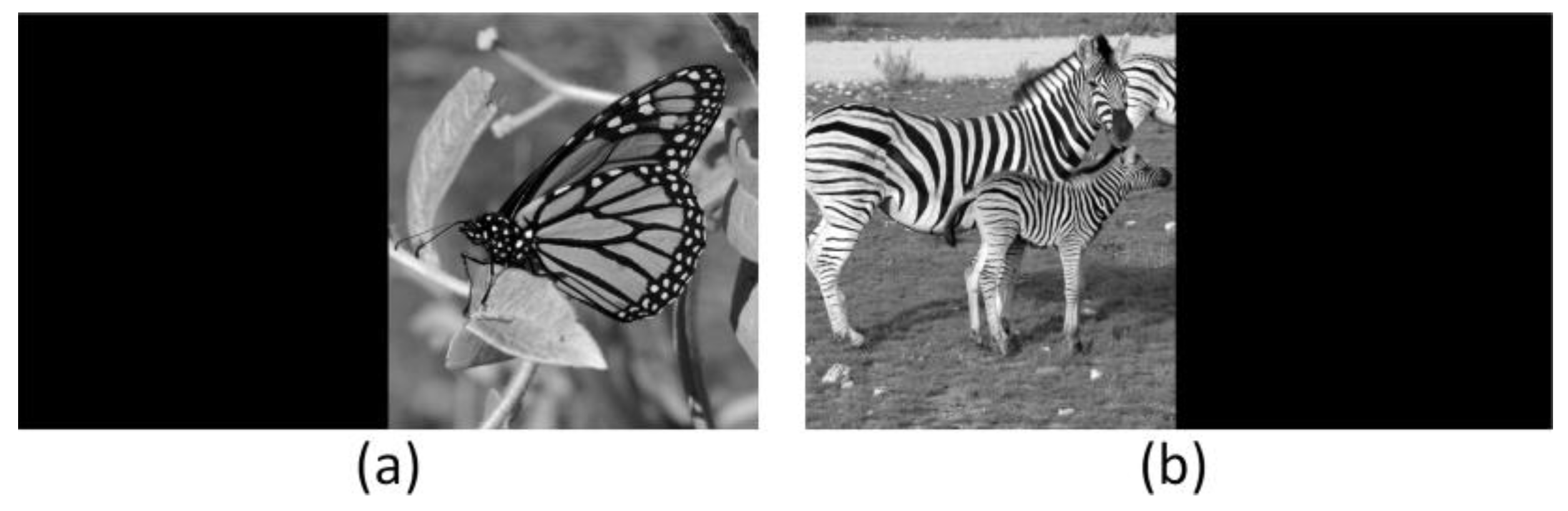 Multi Depth Computer Generated Hologram Based On Stochastic Gradient Descent Algorithm With