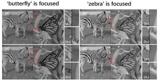 Multi Depth Computer Generated Hologram Based On Stochastic Gradient Descent Algorithm With