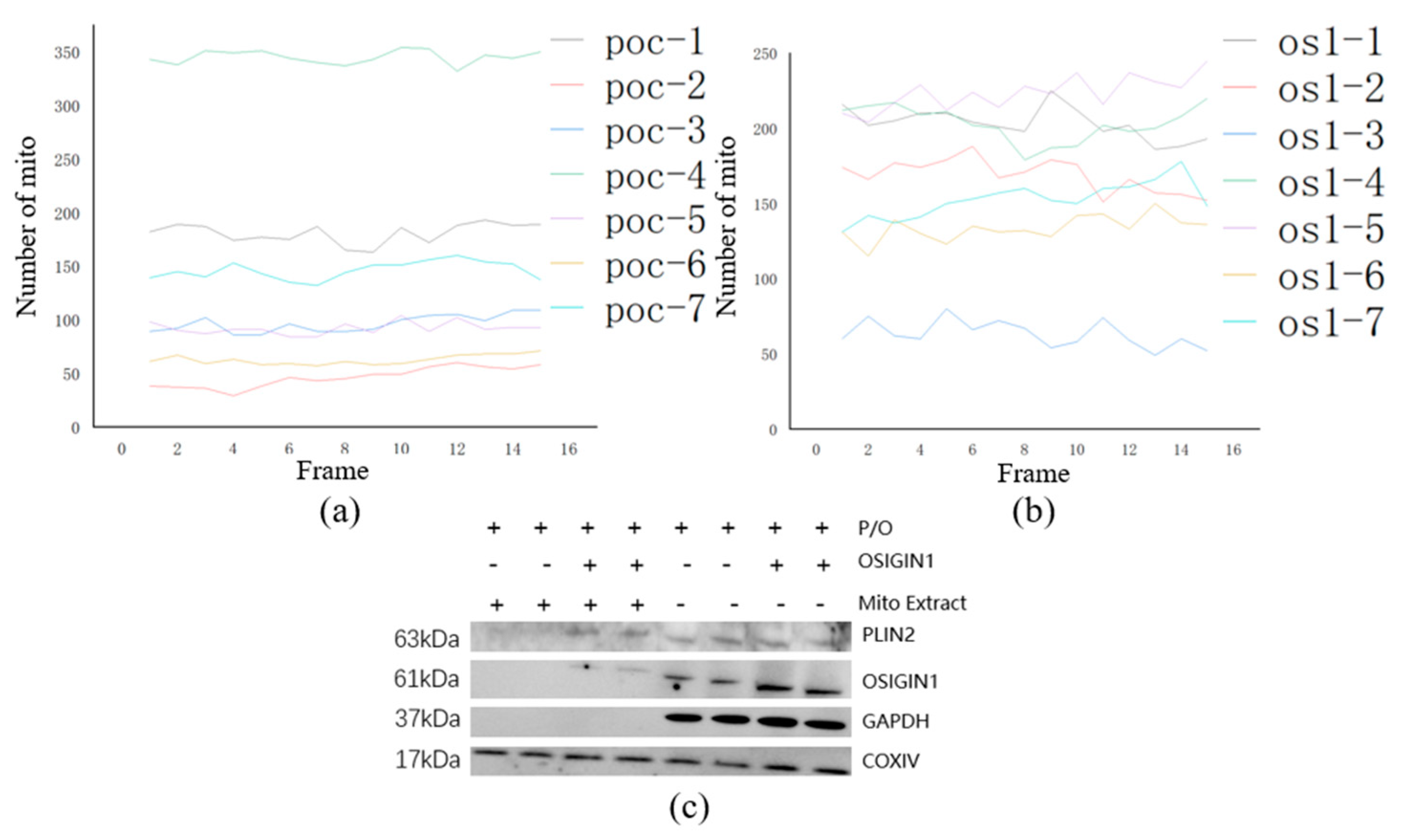 Micromachines | Free Full-Text | Structured Illumination Microscopy of ...
