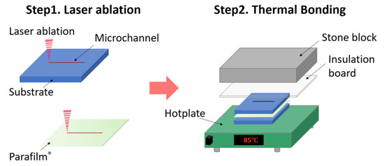 Rapid Prototyping of Multi-Functional and Biocompatible Parafilm®-Based Microfluidic Devices by ...