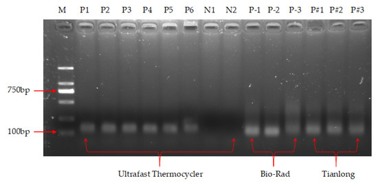 Ultrafast Microfluidic PCR Thermocycler for Nucleic Acid Amplification