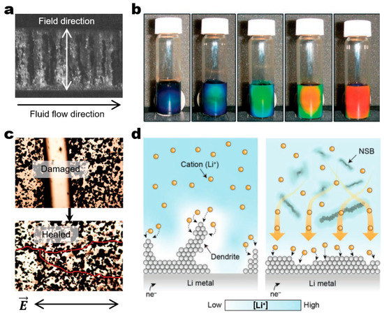 Micromachines | Free Full-Text | Electric and Magnetic Field-Driven Dynamic Structuring for ...