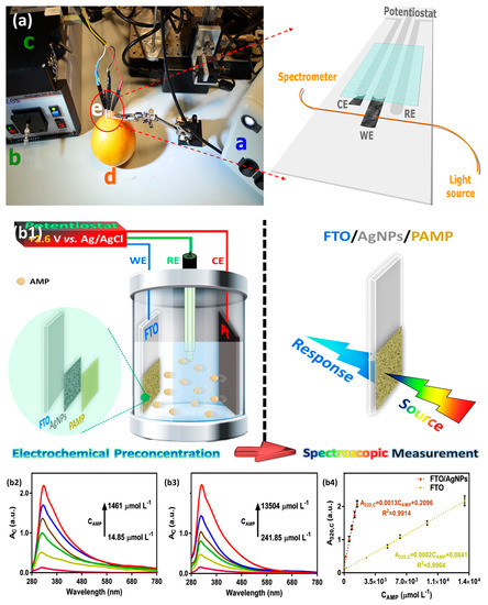 Micromachines | Free Full-Text | Recent State and Challenges in Spectroelectrochemistry with Its ...