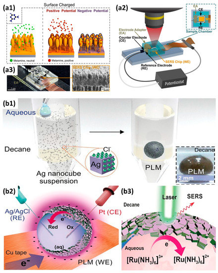 Micromachines | Free Full-Text | Recent State and Challenges in Spectroelectrochemistry with Its ...