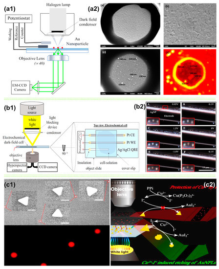 Micromachines | Free Full-Text | Recent State and Challenges in Spectroelectrochemistry with Its ...