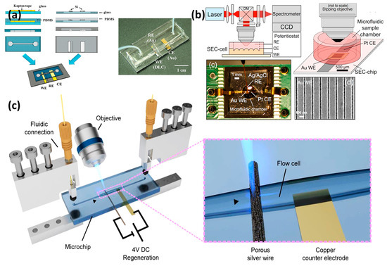 Micromachines | Free Full-Text | Recent State and Challenges in Spectroelectrochemistry with Its ...