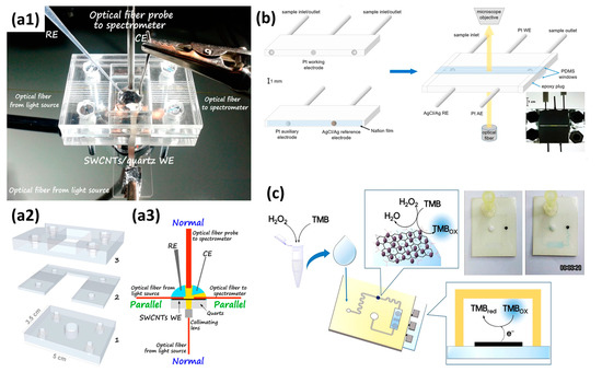 Micromachines | Free Full-Text | Recent State and Challenges in Spectroelectrochemistry with Its ...