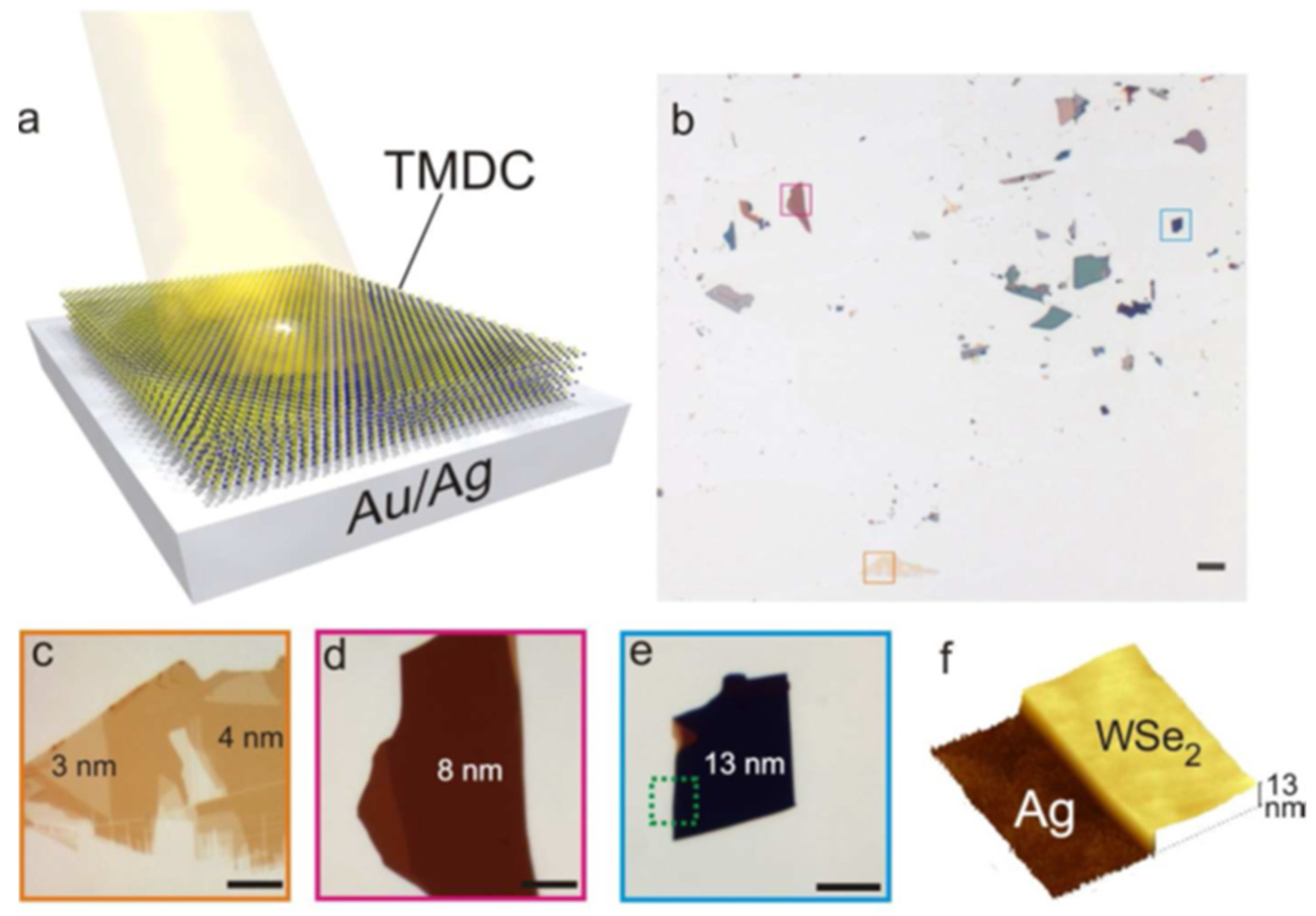 Transition-Metal Dichalcogenides in Electrochemical Batteries and Solar ...