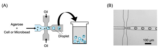 Dielectrophoresis-Based Selective Droplet Extraction Microfluidic ...