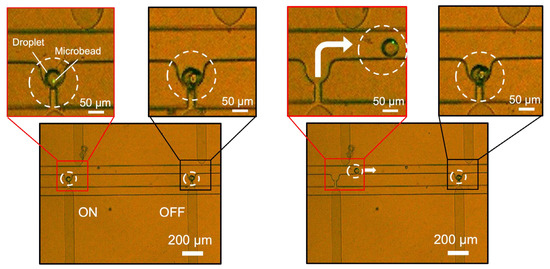 Dielectrophoresis-Based Selective Droplet Extraction Microfluidic ...