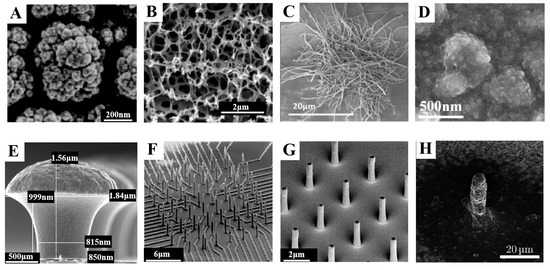 Recent Progress And Perspectives On Neural Chip Platforms Integrating Pdms Based Microfluidic