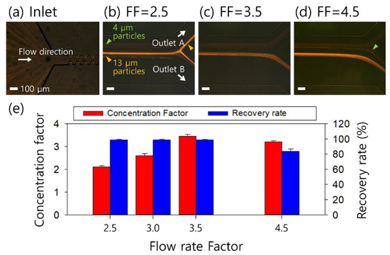 Separation and Washing of Candida Cells from White Blood Cells Using Viscoelastic Microfluidics