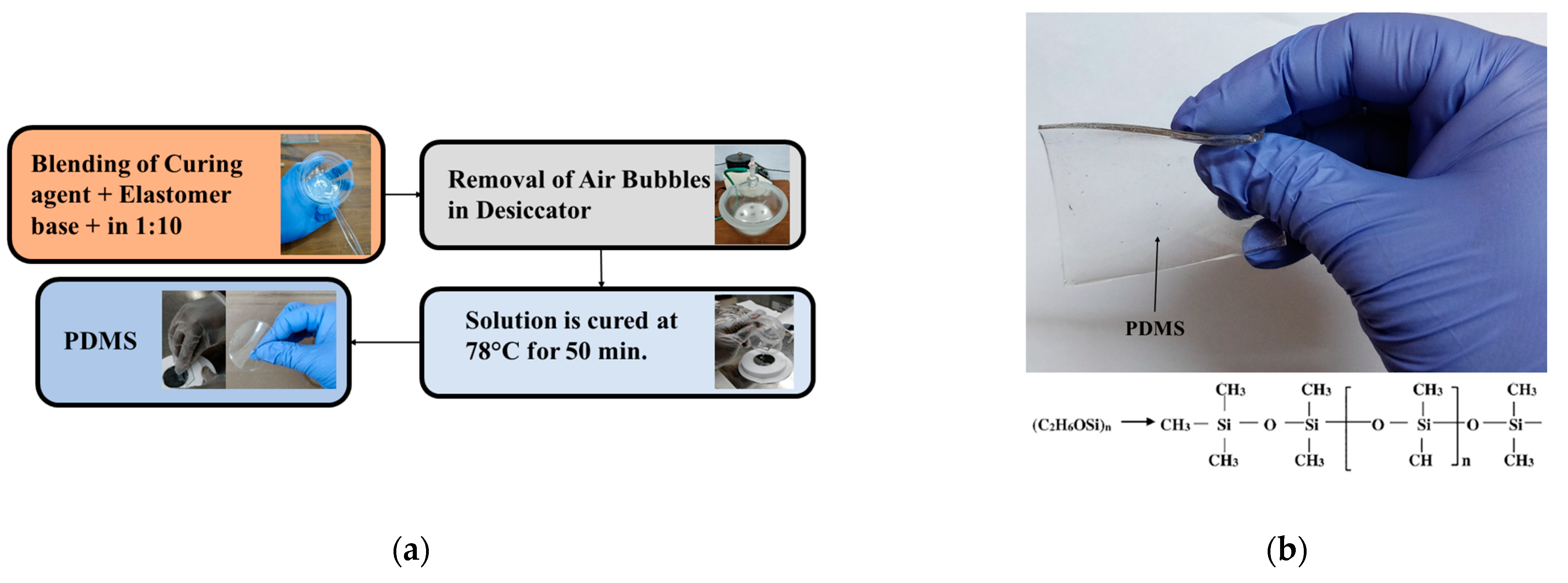 Micromachines | Free Full-Text | Evaluation of Polydimethylsiloxane (PDMS) as a Substrate for ...