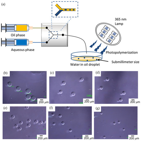 Molecularly Imprinted Polymeric Particles Created Using Droplet-Based ...
