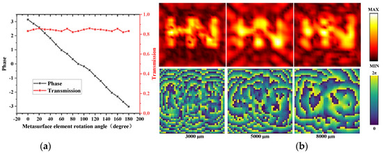 Chiral Metasurface for Near-Field Imaging and Far-Field Holography ...