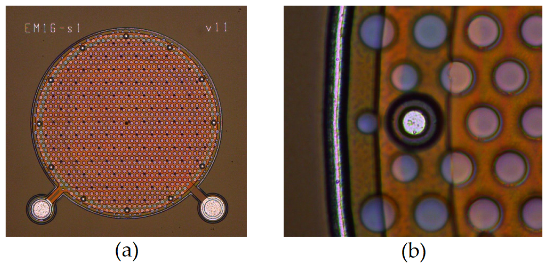 Micromachines | Free Full-Text | Recent Trends in Structures and ...