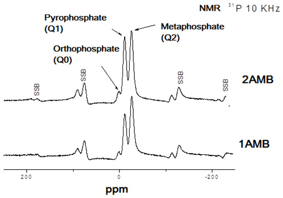 Structural Features and Water Resistance of Glass–Matrix Composites in ...
