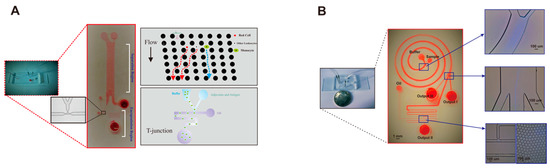 Microfluidic Chips: Emerging Technologies for Adoptive Cell Immunotherapy