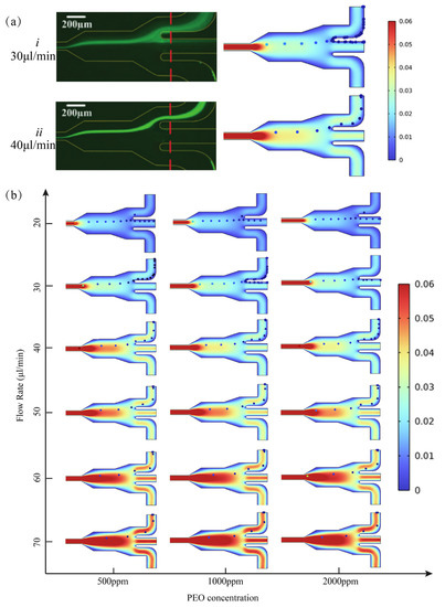 Numerical Study of Viscoelastic Microfluidic Particle Manipulation in a Microchannel with ...