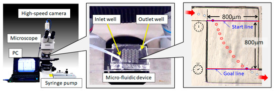 Particle Size-Dependent Component Separation Using Serially Arrayed ...