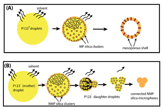Role and Effect of Meso-Structuring Surfactants on Properties and ...