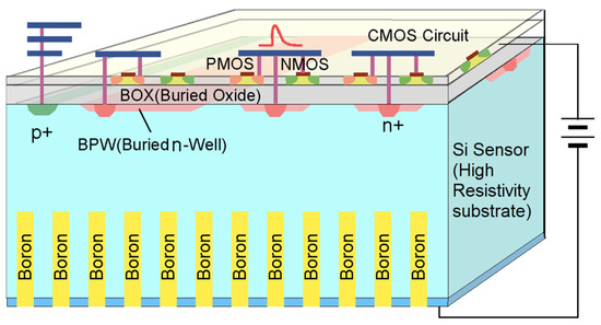 A CMOS-MEMS Pixel Sensor for Thermal Neutron Imaging