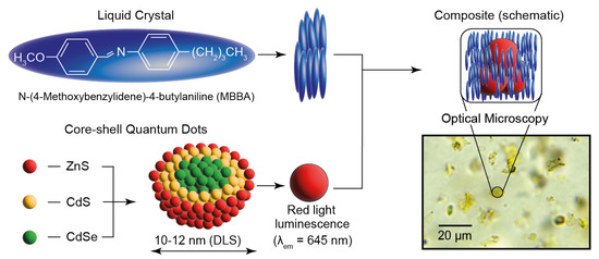 Dynamic Flow Control over Optical Properties of Liquid Crystal–Quantum ...