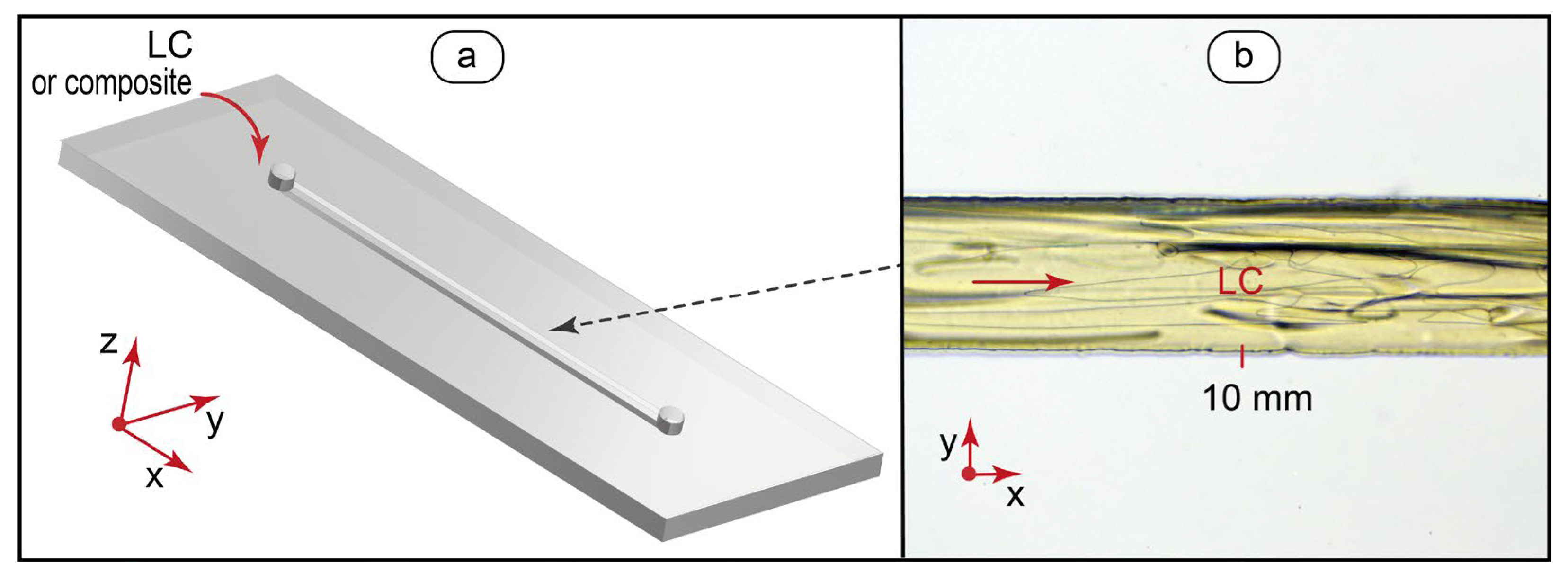 Dynamic Flow Control over Optical Properties of Liquid Crystal–Quantum ...
