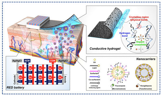 Current Progress in Conductive Hydrogels and Their Applications in ...