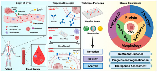 Biosensors for the Isolation and Detection of Circulating Tumor Cells ...